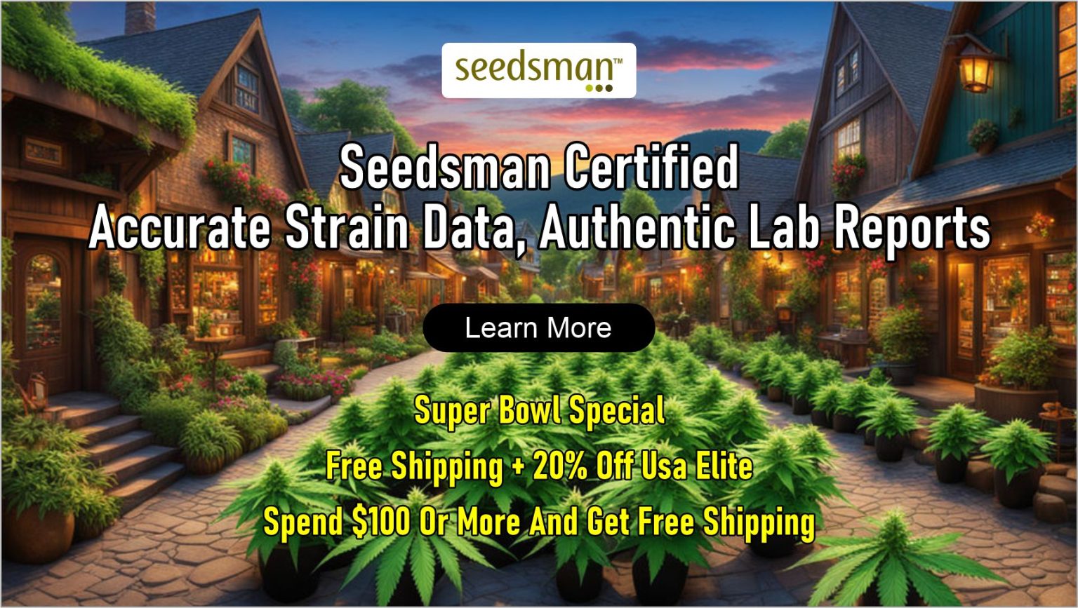 SeedsMan - SeedsMap